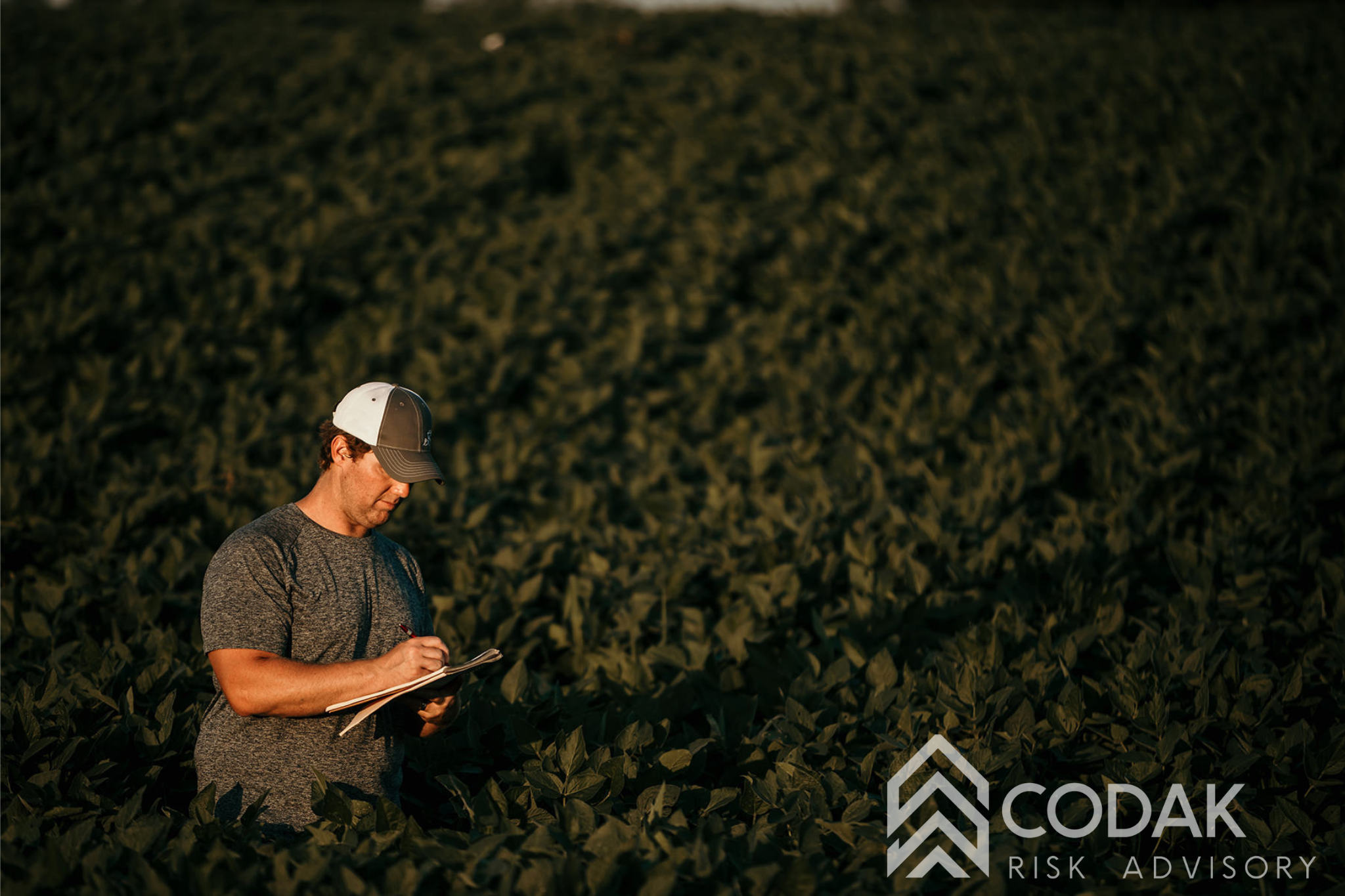 Understanding the USDA’s SDRP: What Farmers Need to Know About 2023 ...