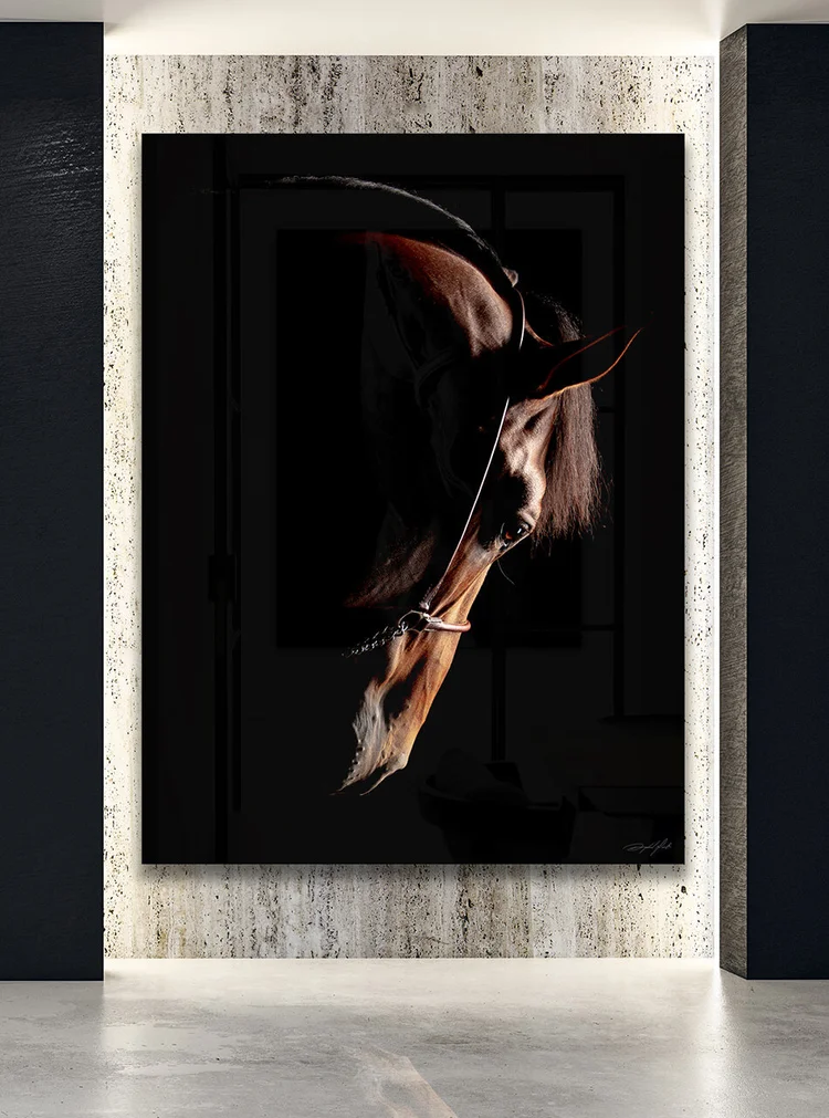 Raphael Macek - Horse Photographer