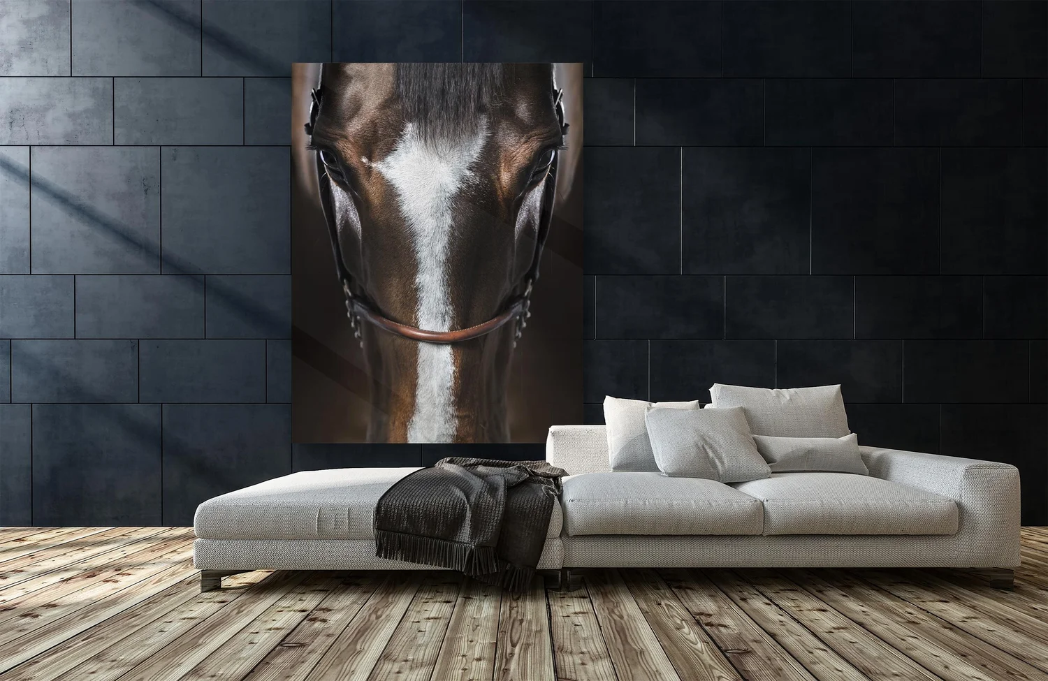 Raphael Macek - Horse Photographer
