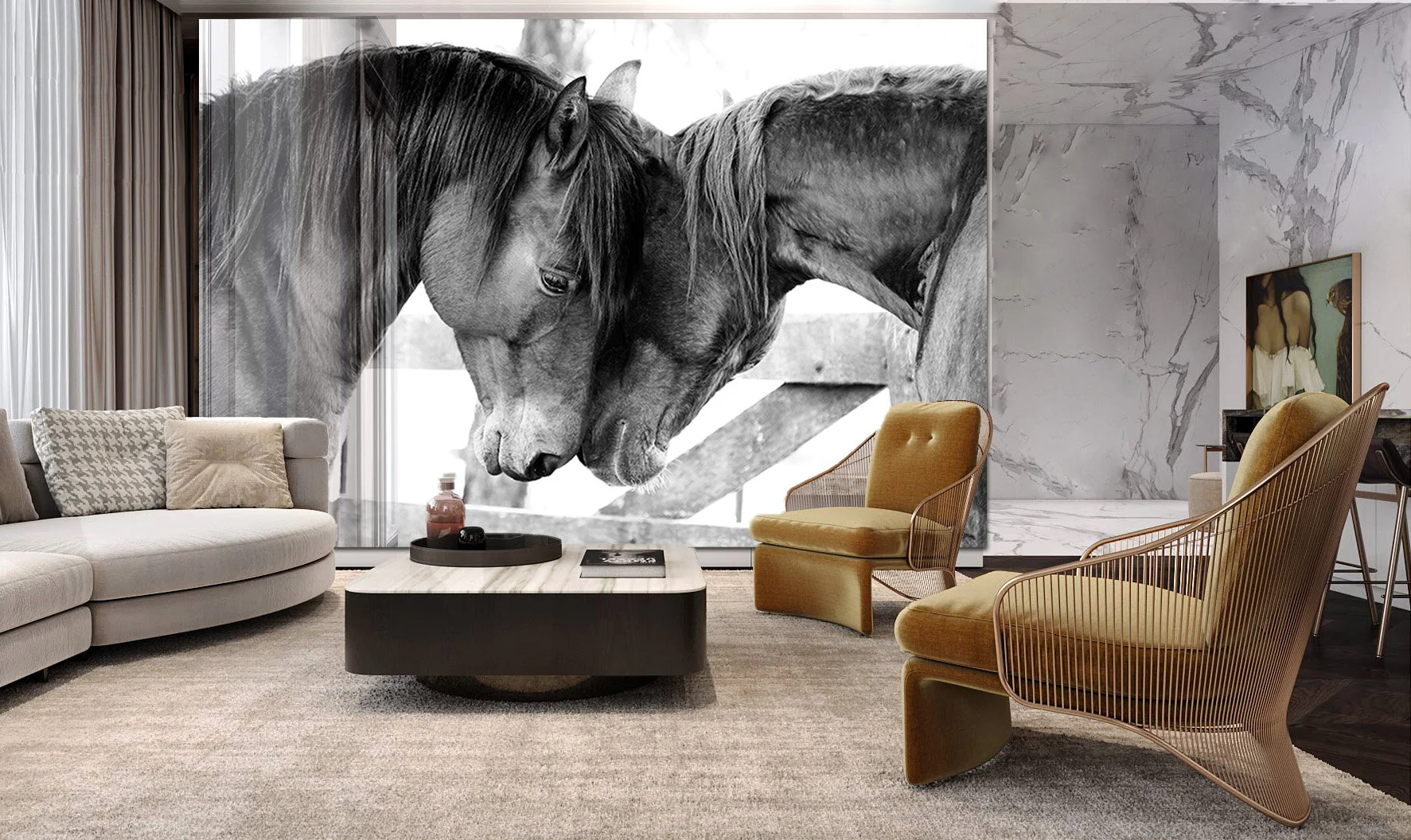 Raphael Macek - Horse Photographer