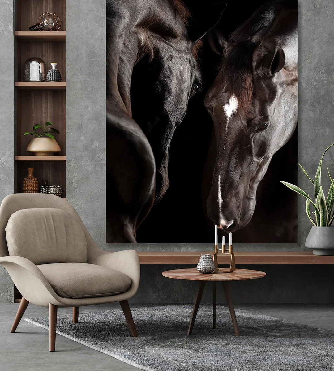 Raphael Macek - Horse Photographer