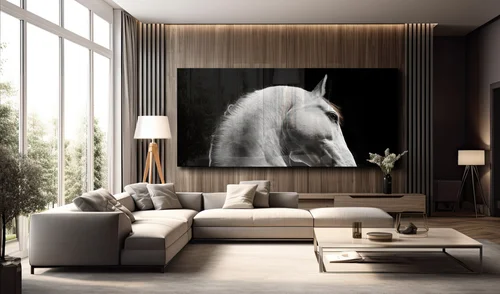 Raphael Macek - Horse Photographer