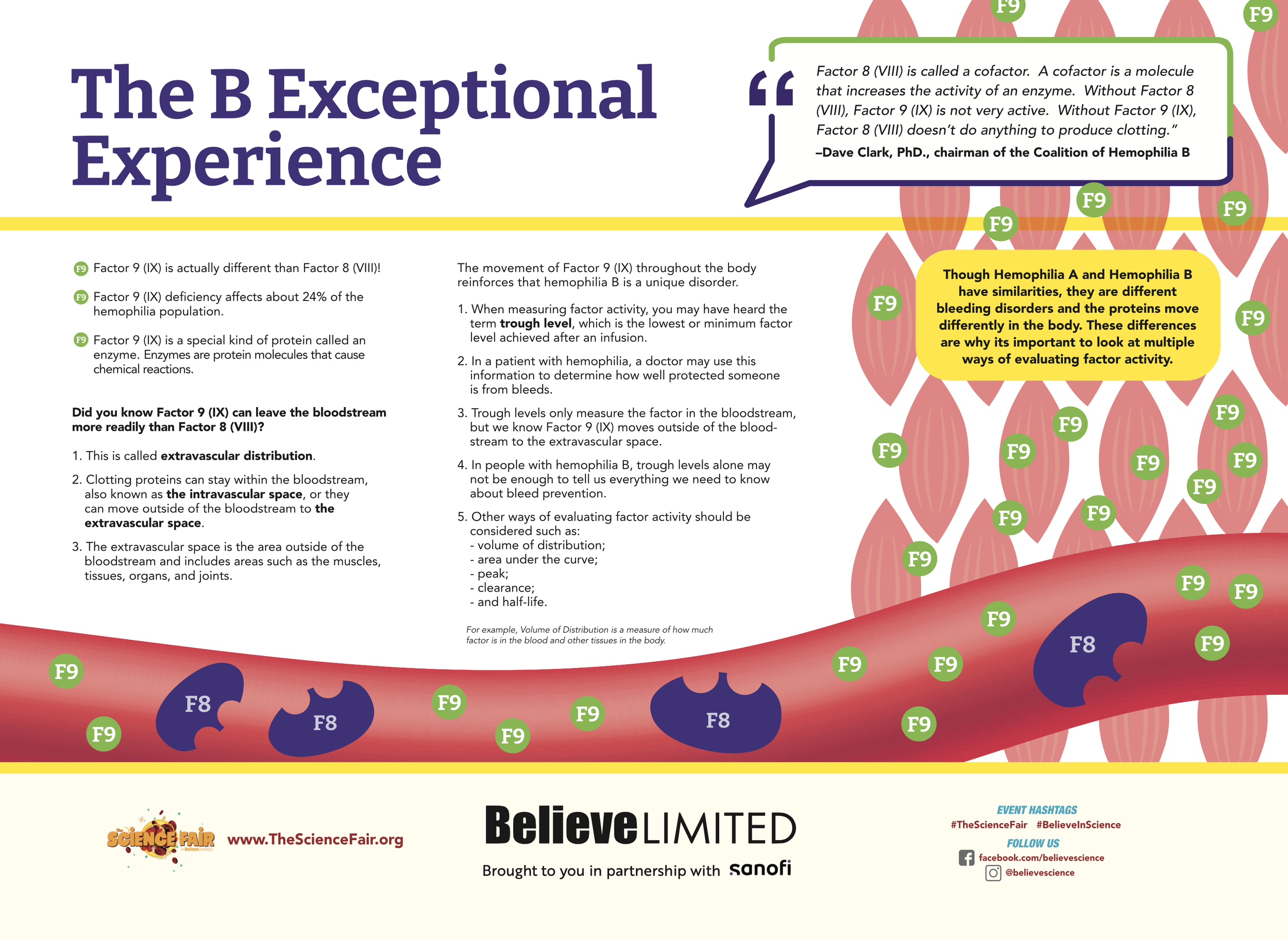 Enter the Science Fair! — The Science Fair