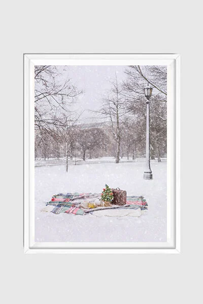 GOOSEBERRY PRINTS | FINE ART PHOTOGRAPHY PRINTS FOR MODERN HOMES