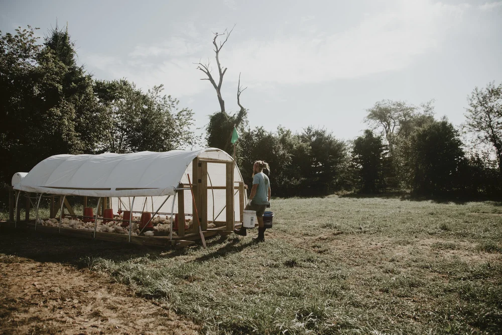 Vernon Family Farm | Newfields, NH