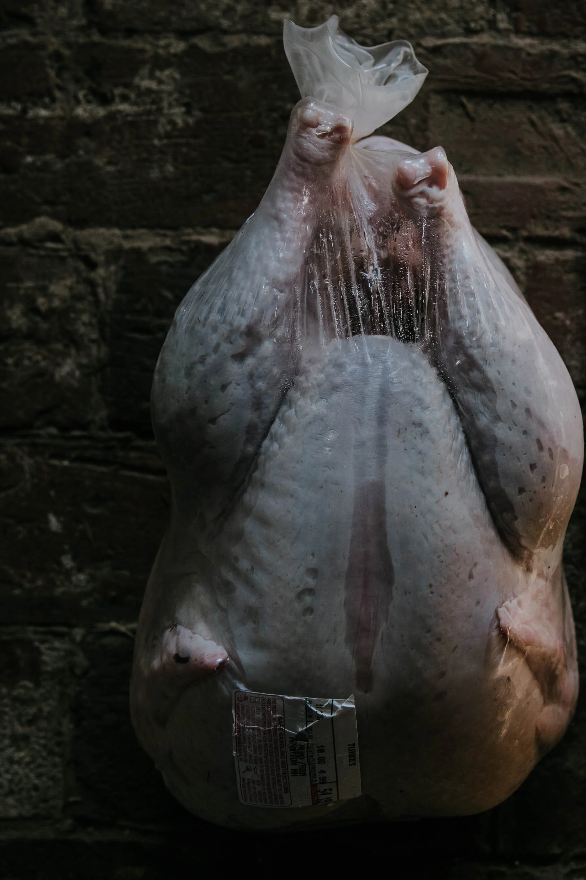 Fresh, Pasture-raised Turkey in NH | Vernon Family Farm