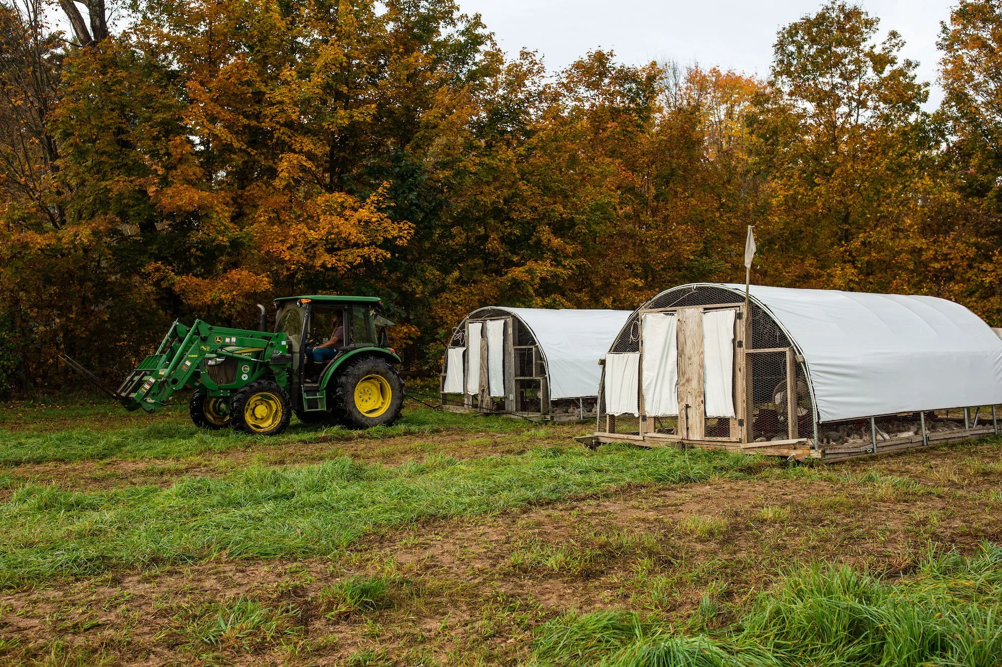 Pasture-Raised Chicken | Vernon Family Farm in NH