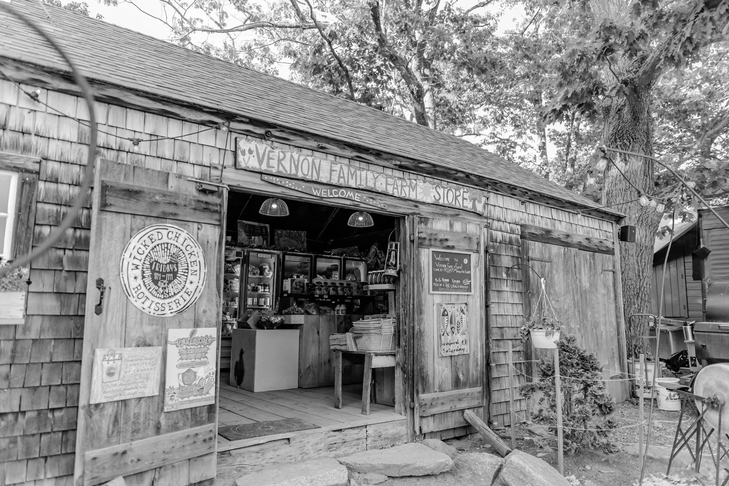 Vernon Family Farm | Newfields, NH