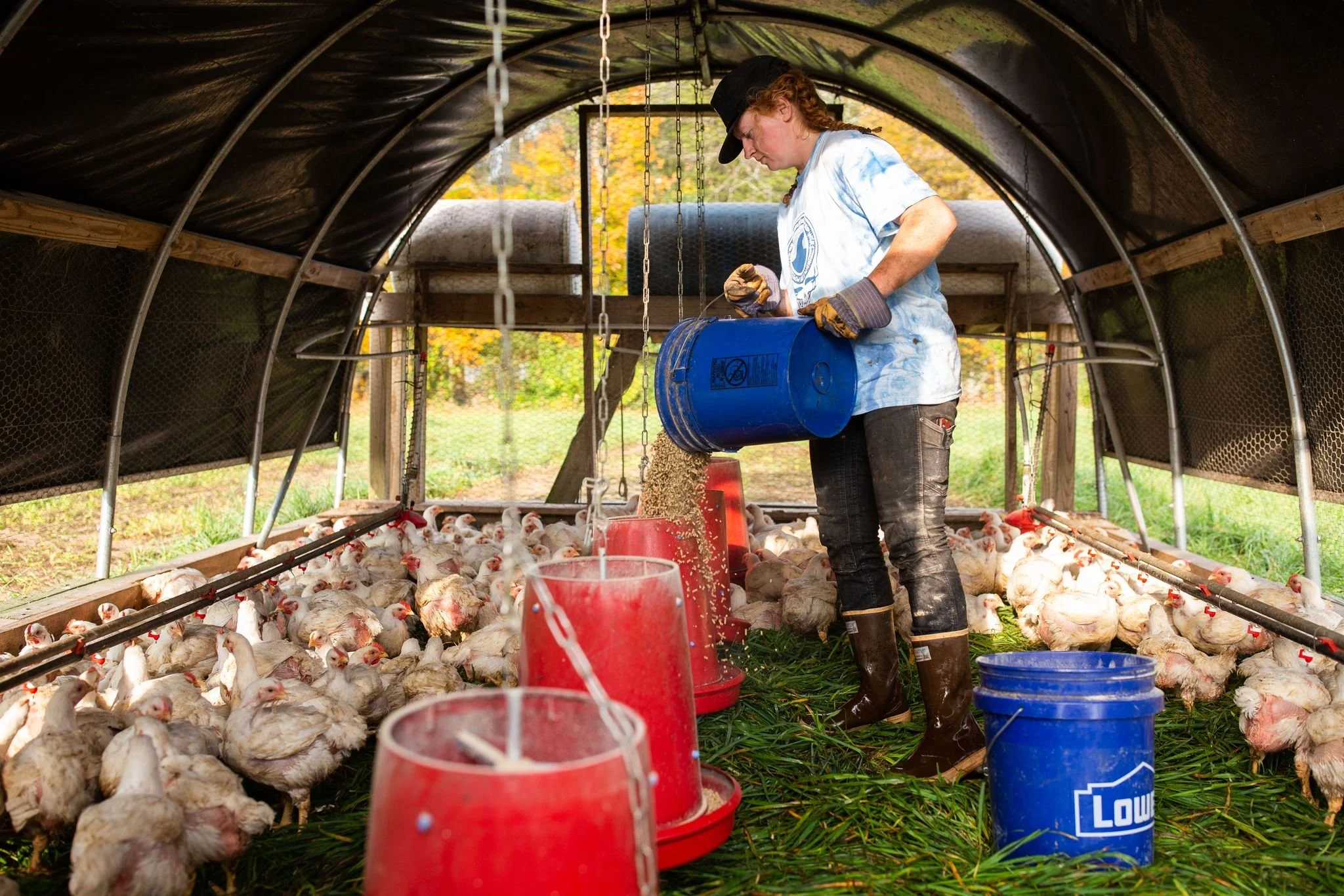 Vernon Family Farm | Newfields, NH
