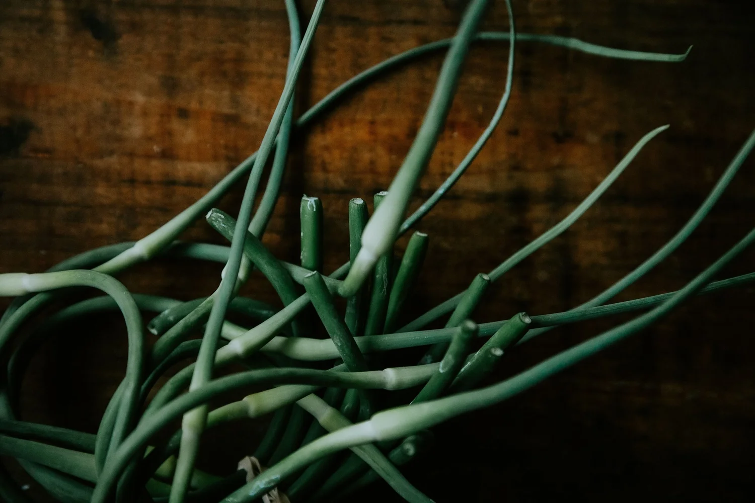 Garlic Scapes Pesto Recipe | Vernon Family Farm