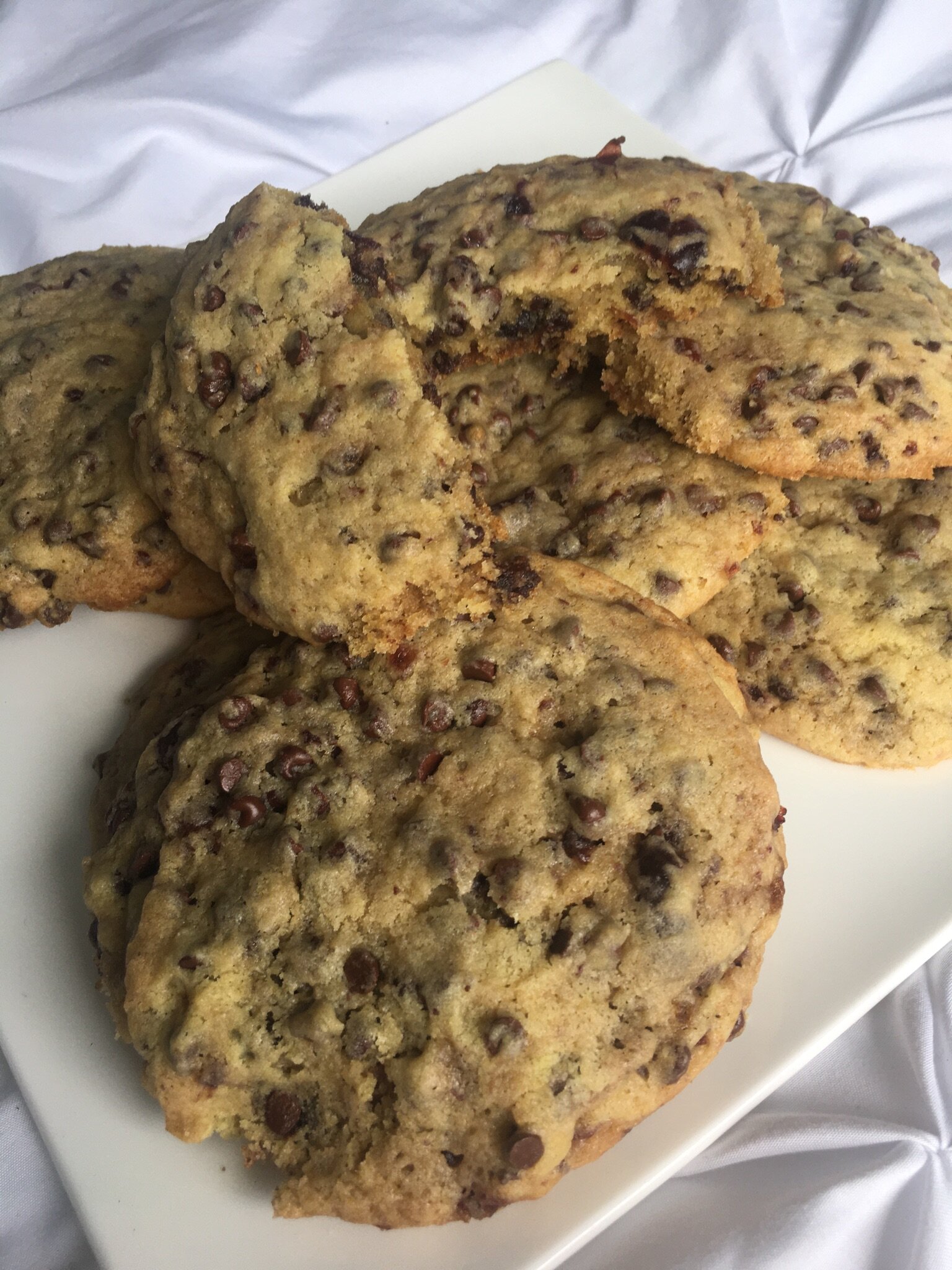 Chocolate Chunk Amarena Cherry Cookies — Organic Italian