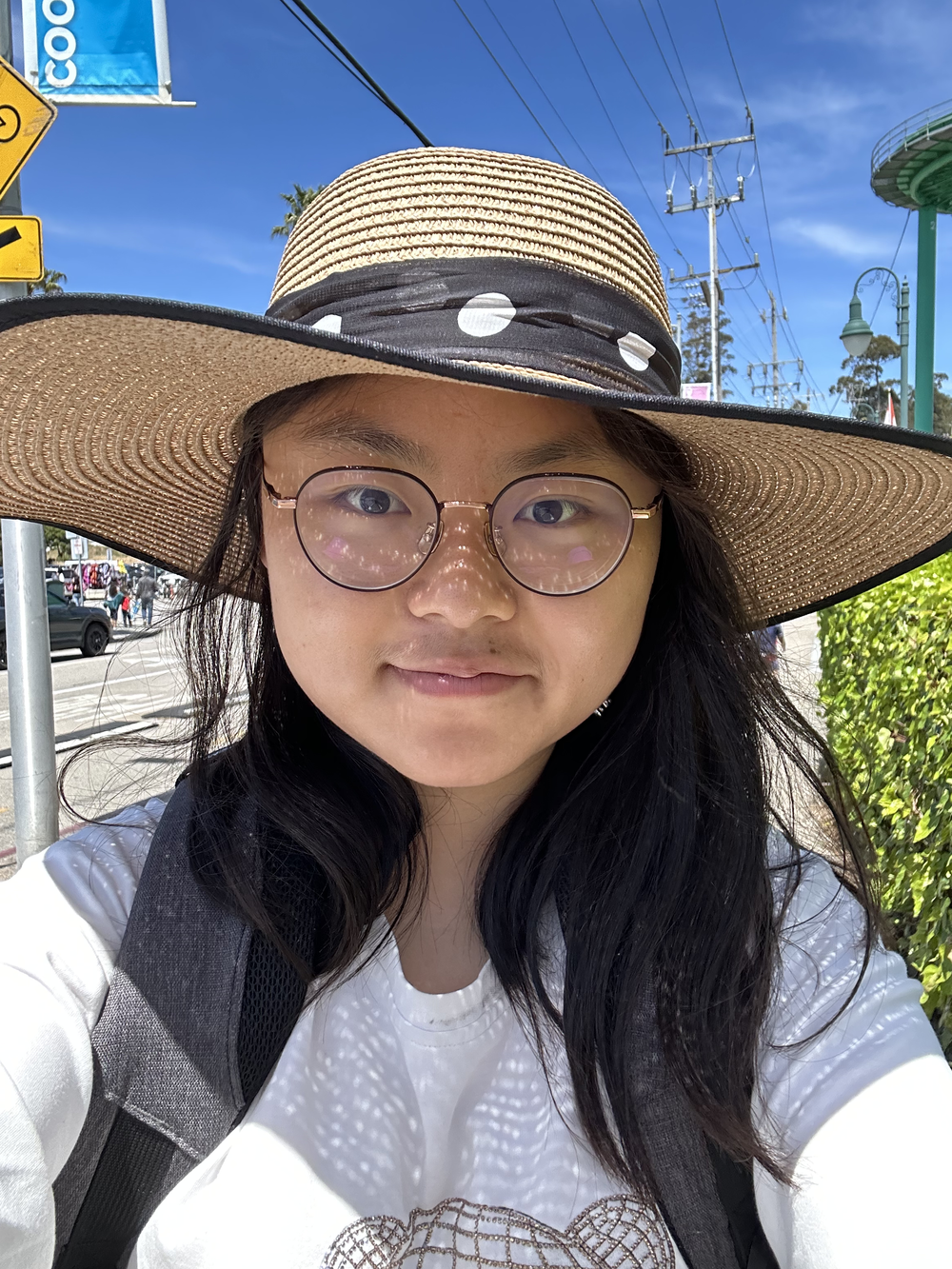 Hanxi Fang — Illini 4000