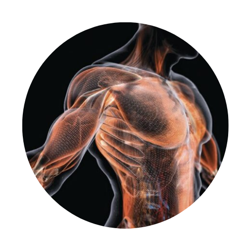 Structural Integration — Ironclad Bodywork PLLC