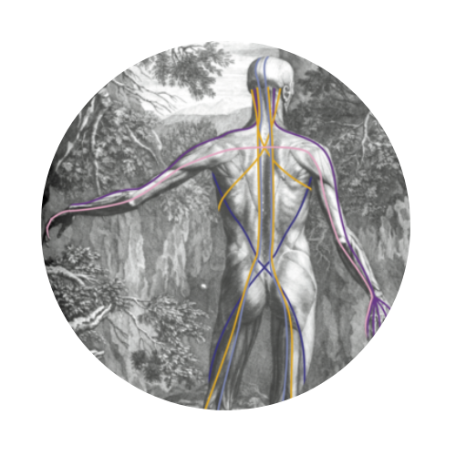 Structural Integration — Ironclad Bodywork PLLC