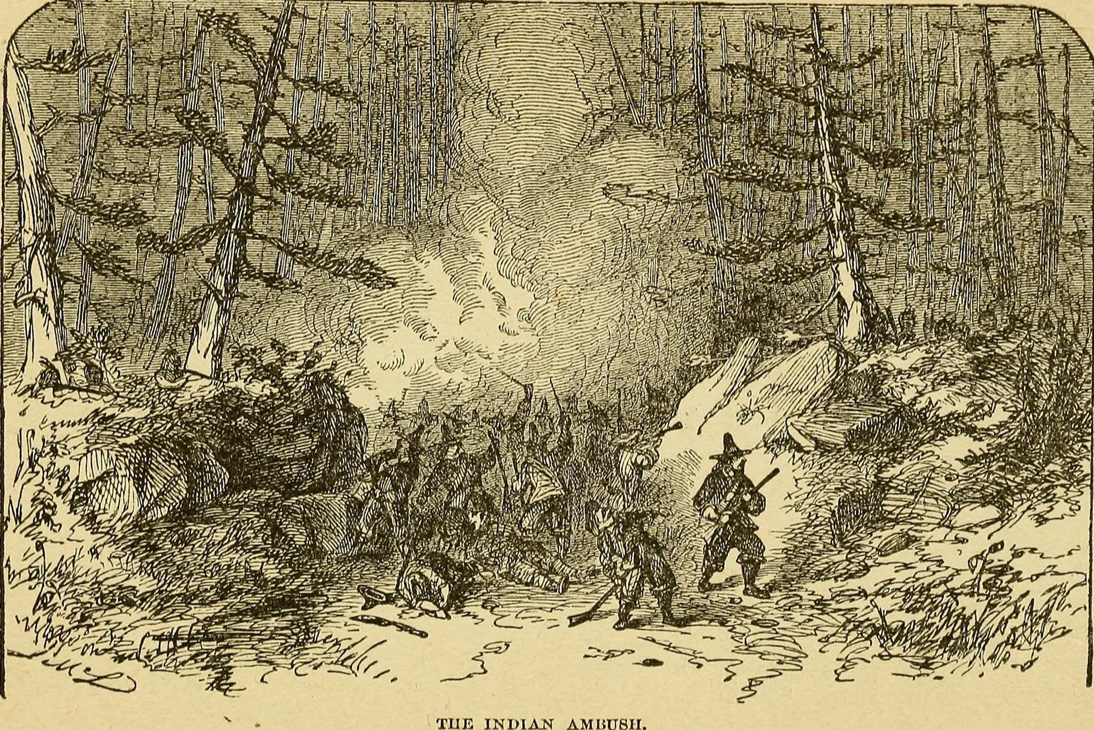 VOL. 1 EPISODE 2: NATIVE AMERICANS, COLONISTS, & NATURE — American ...