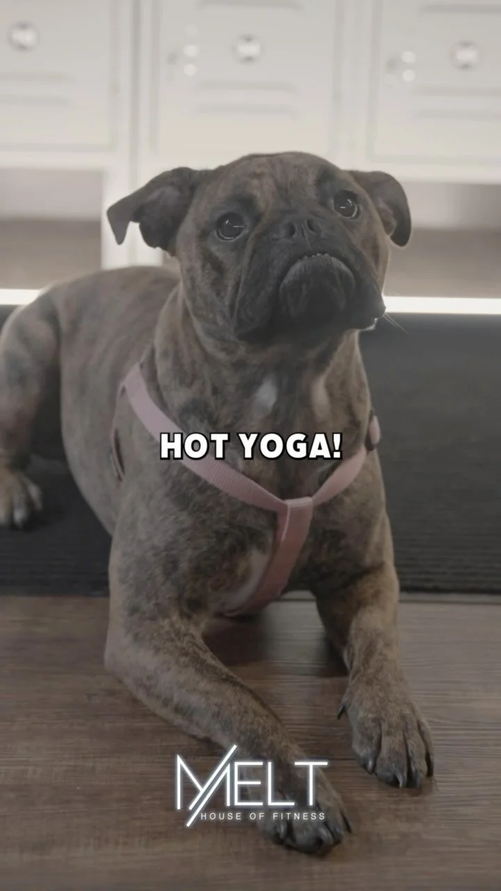 Frequently Asked Questions — Melt House of Fitness