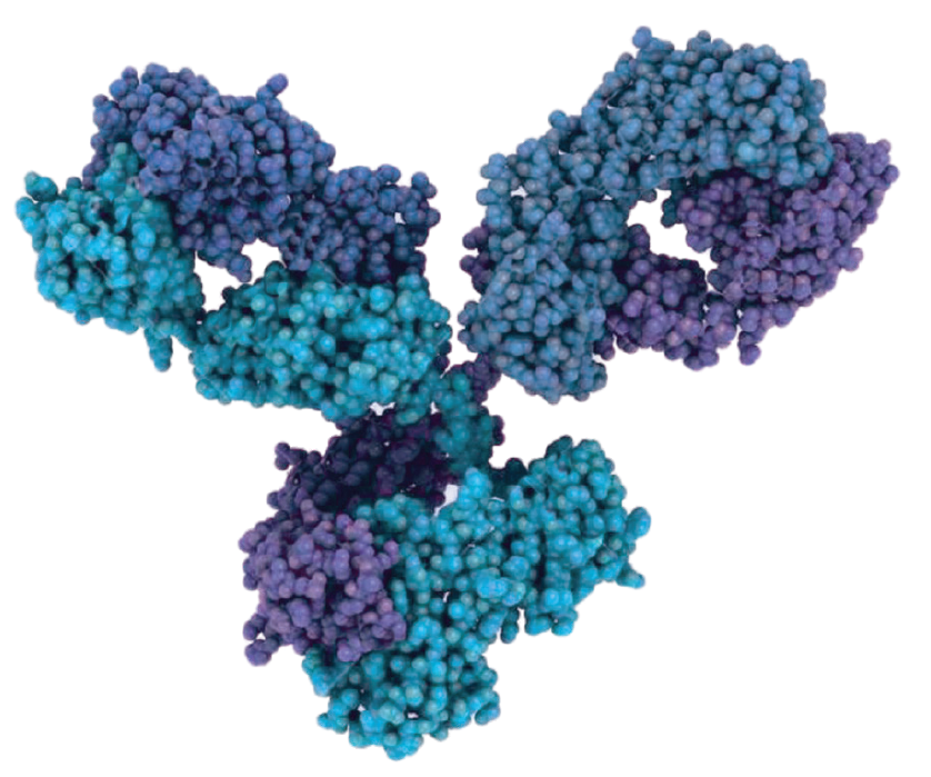ADL Index — ProciseDx