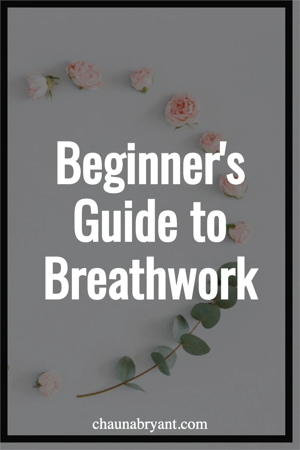 Beginner's Guide to Breathwork — Chauna Bryant