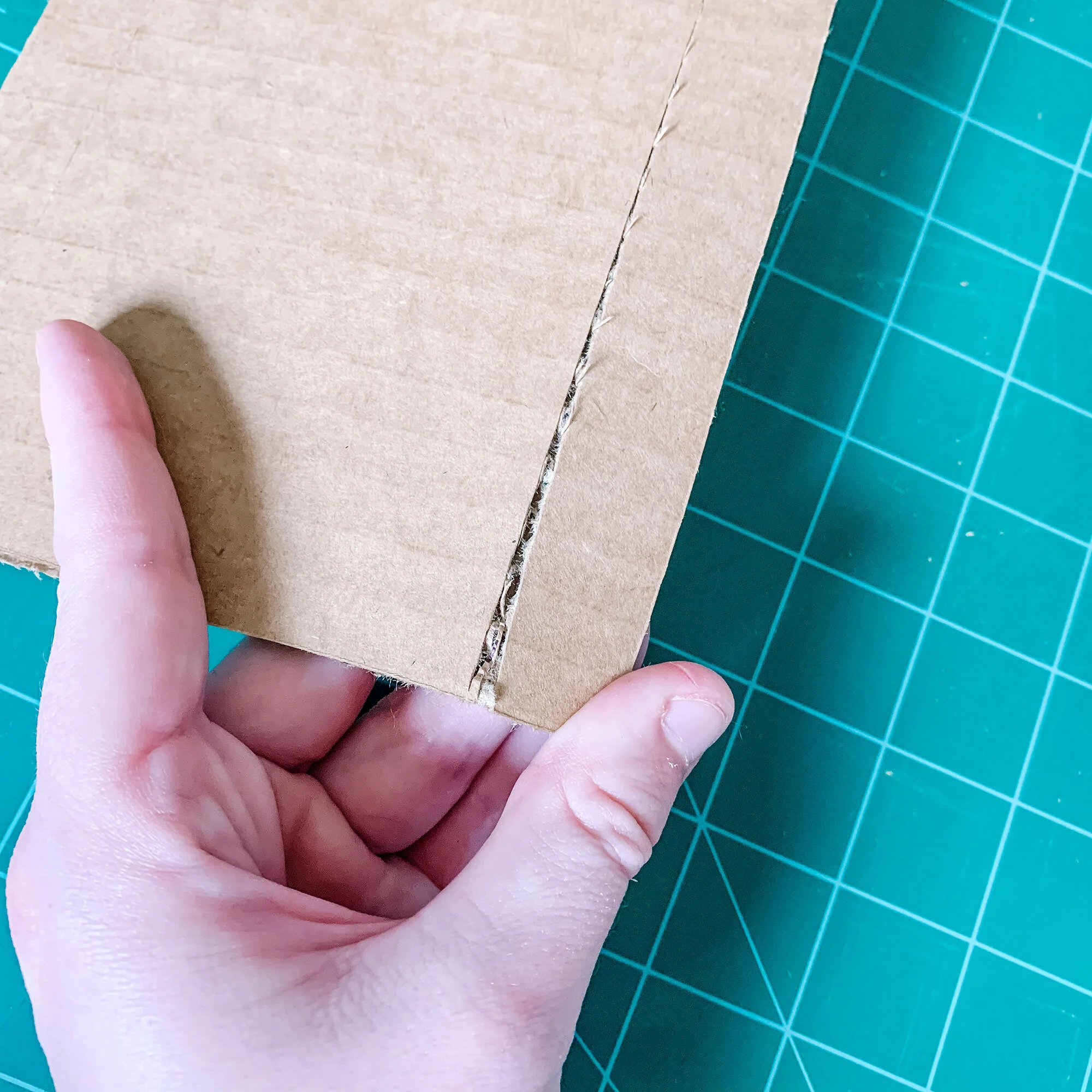 How to Make a Cardboard Cat House — The Green Mad House