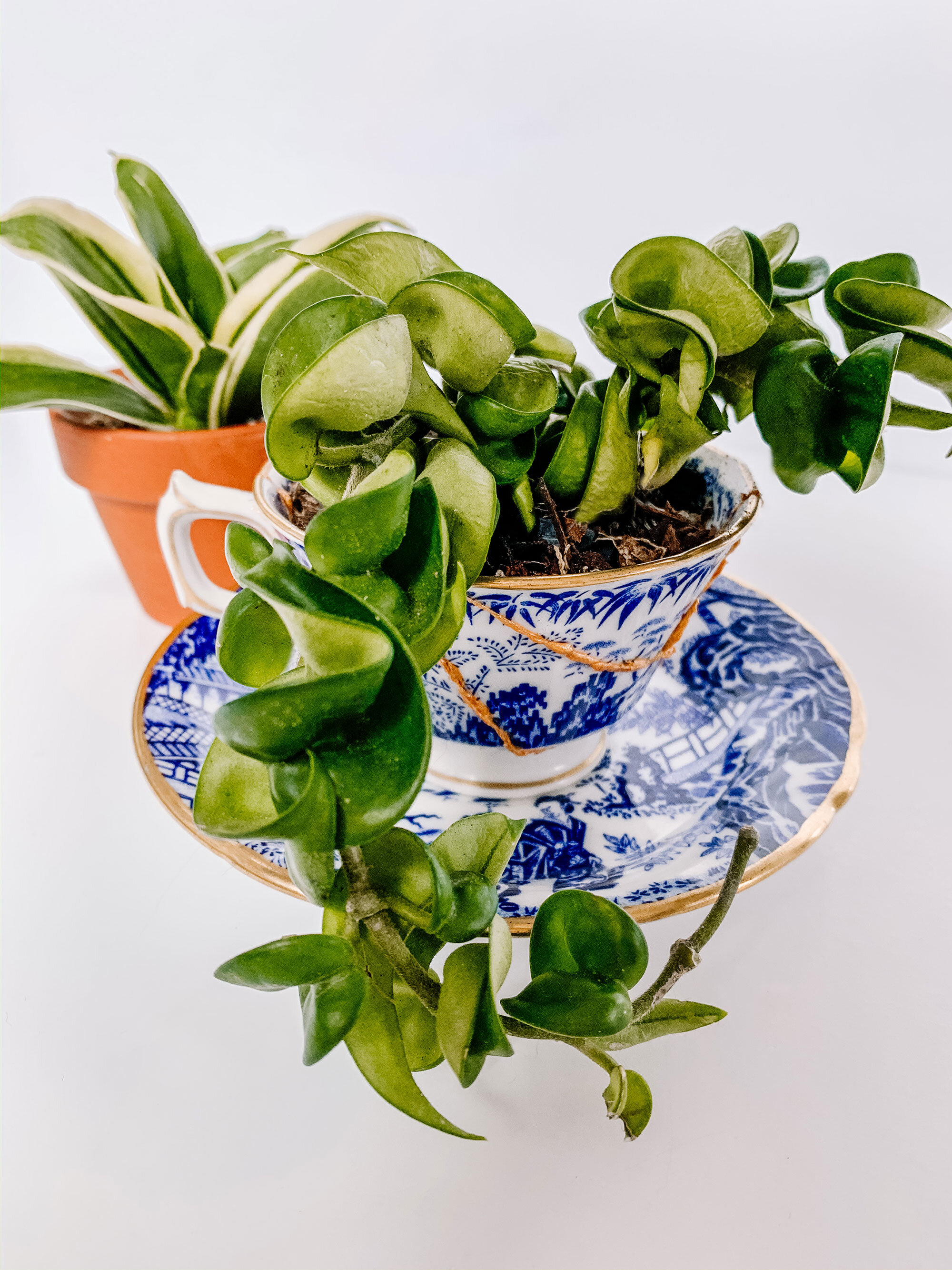 How to Repair Your Broken Ceramics with Kintsugi — The Green Mad House