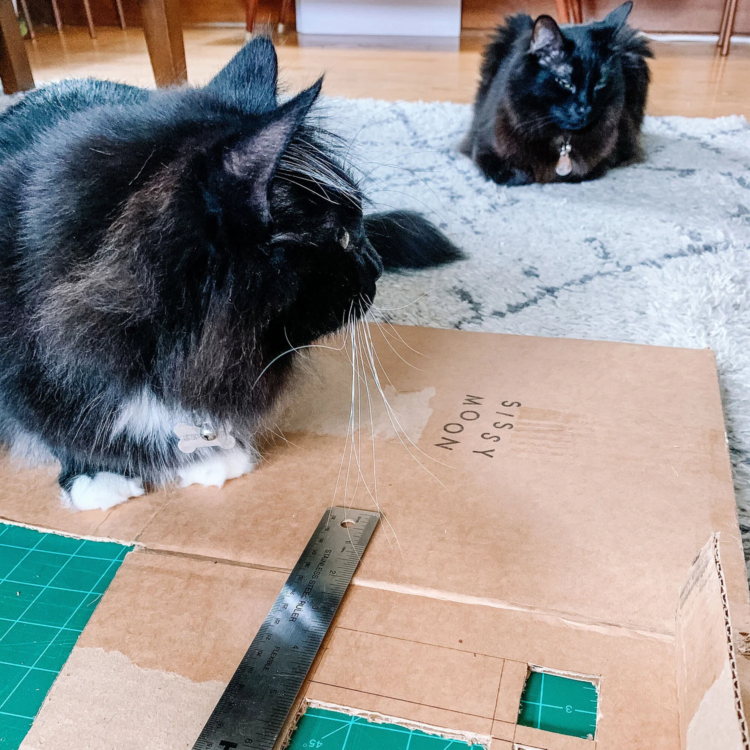 How to Make a Cardboard Cat House — The Green Mad House