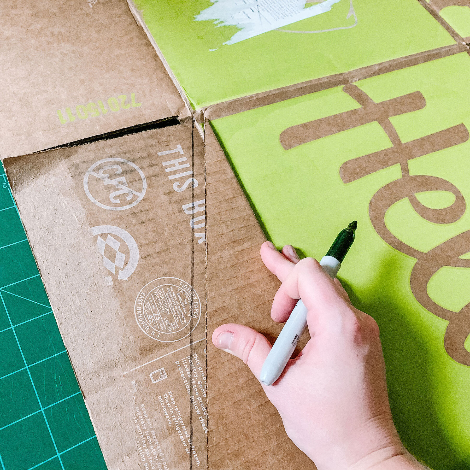 How to Make a Cardboard Cat House — The Green Mad House