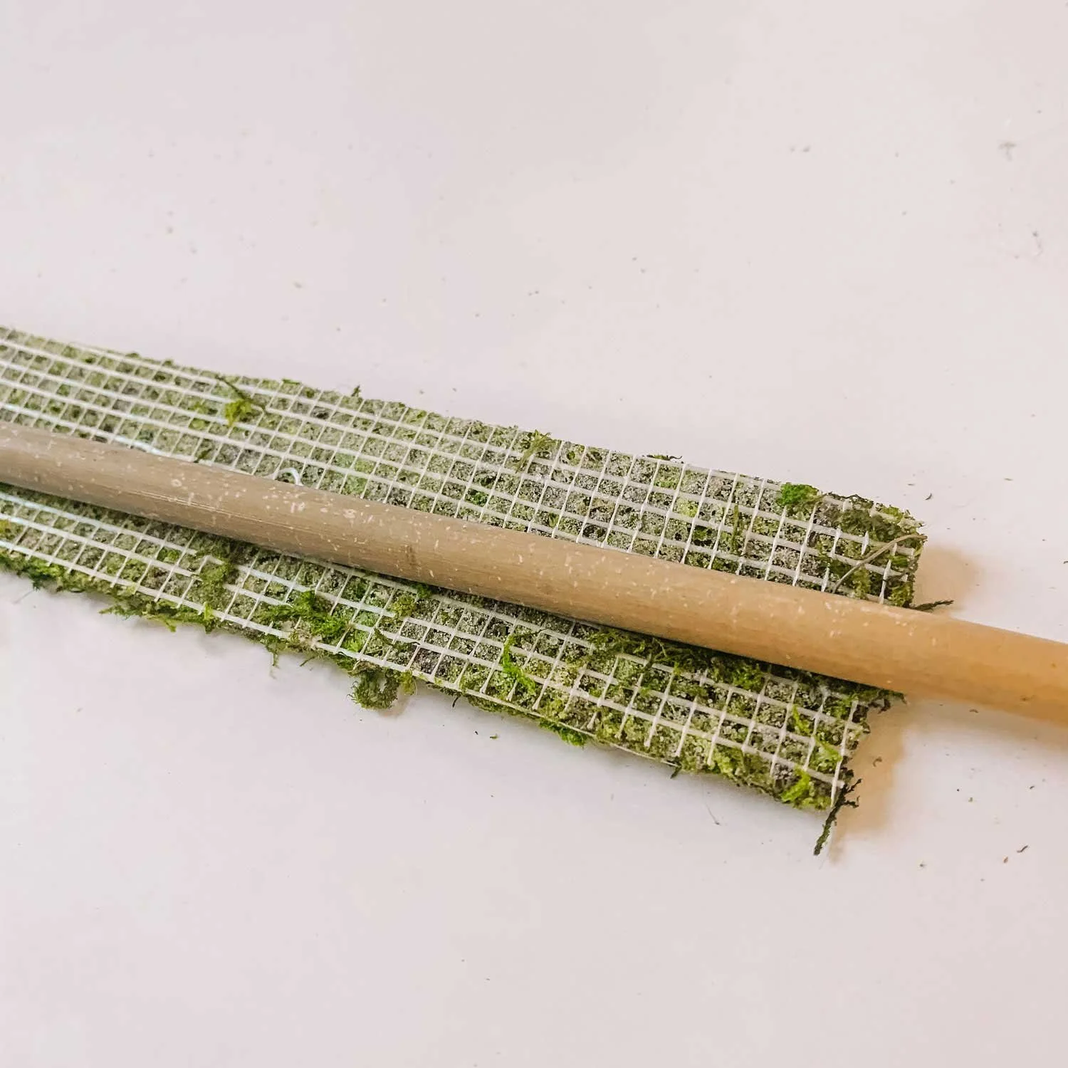 How to Make a Moss Pole Support — The Green Mad House