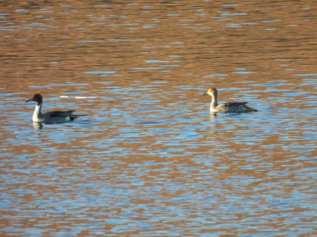 2023 Outings — Loess Hills Audubon Society