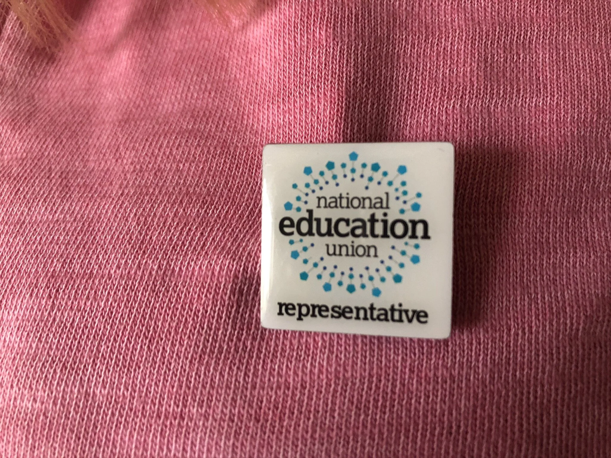 Reps — NEU, Hampshire Branch