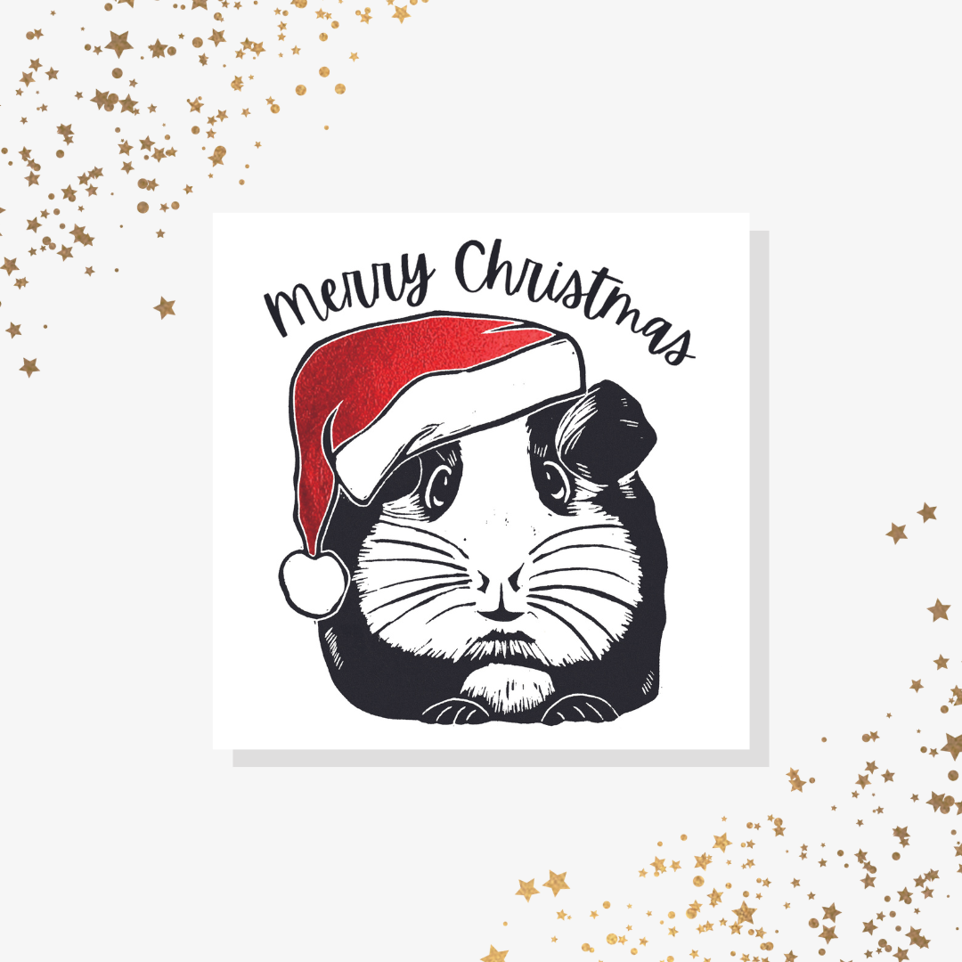 Shop Greeting cards, Wrapping Paper, Prints, and Gifts — Corrina Ann Art