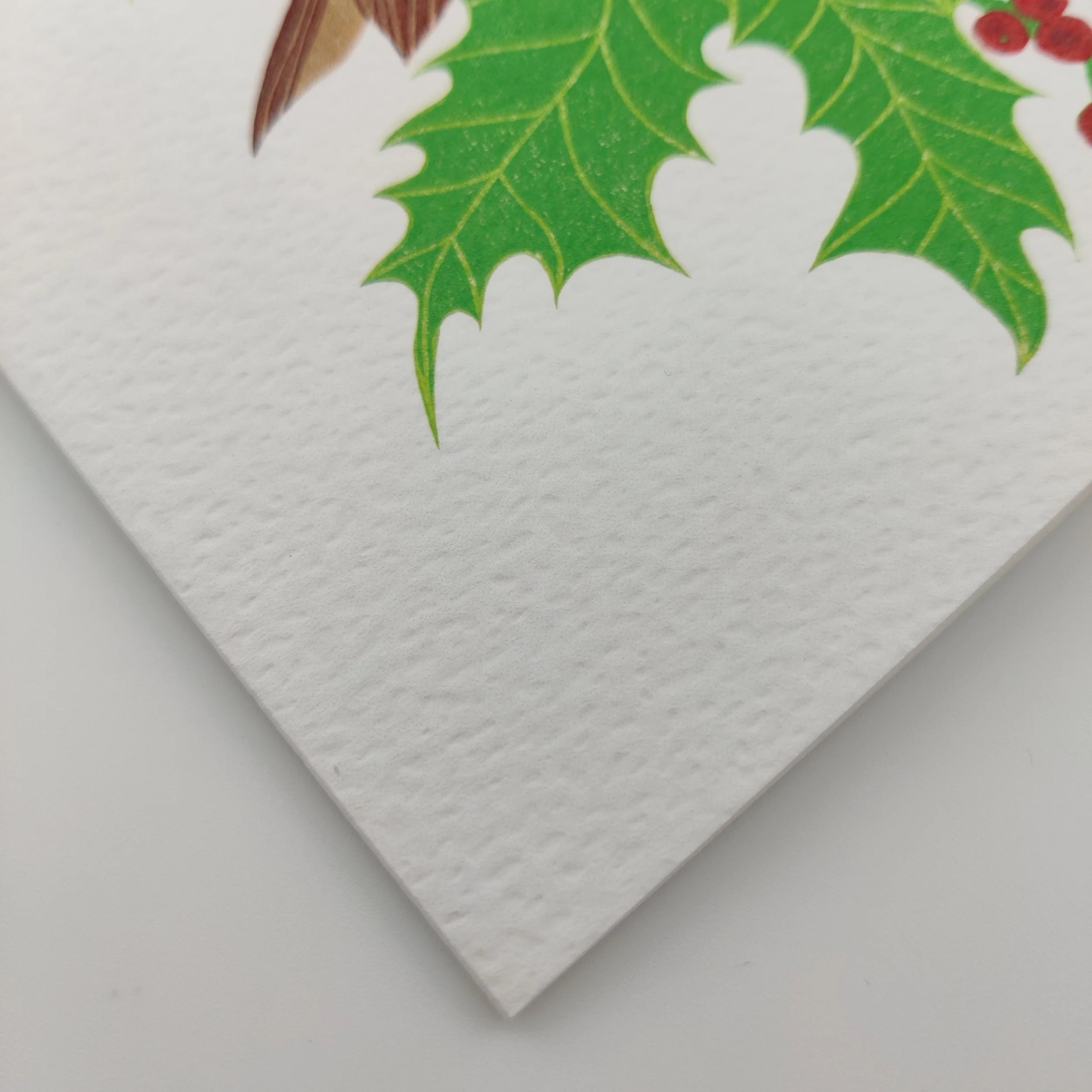 Robin Card — Corrina Ann Art