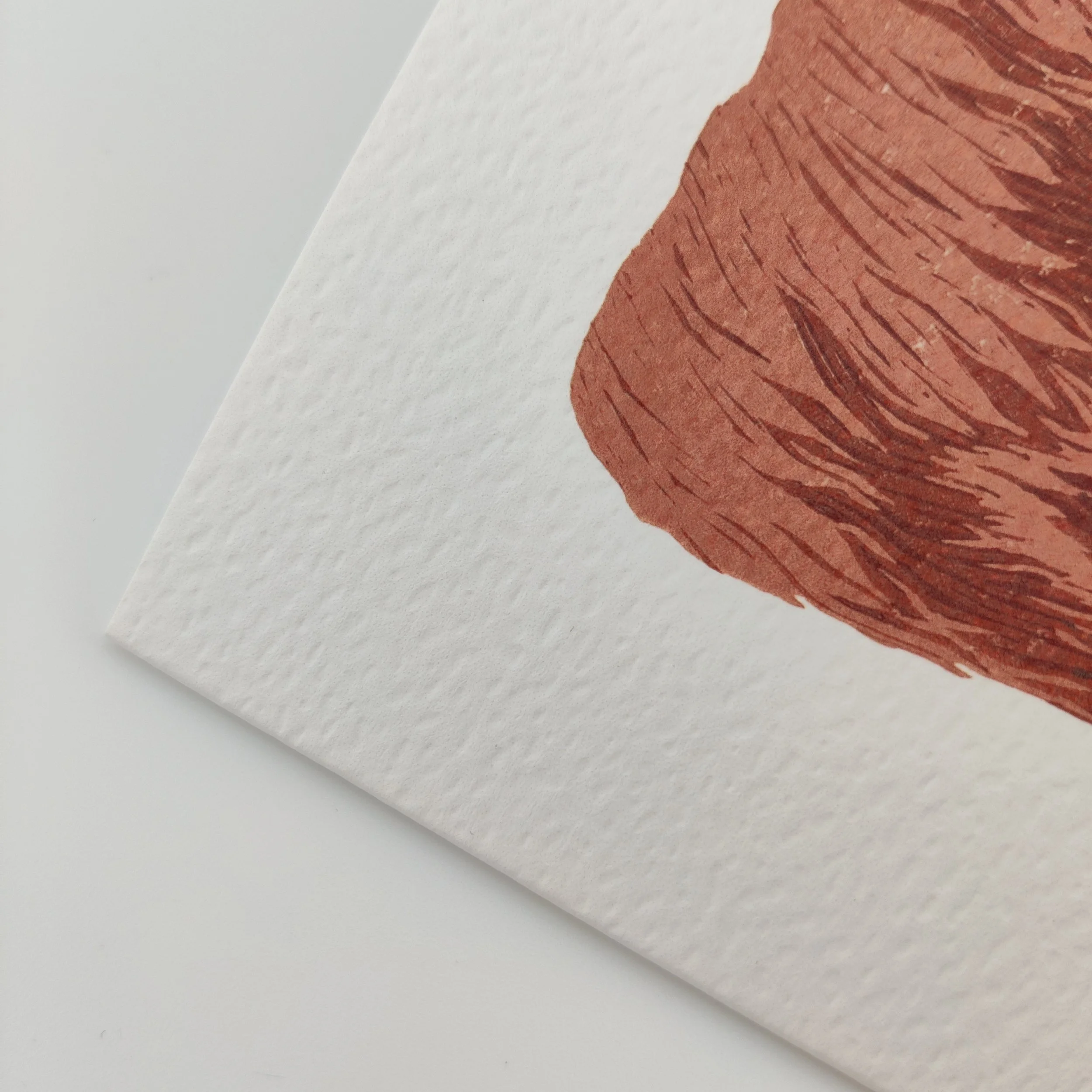 Christmas Highland Cow Family Card — Corrina Ann Art