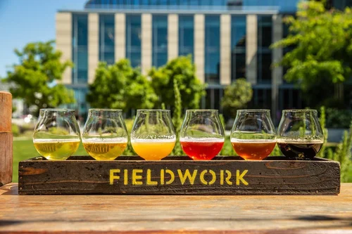 Fieldwork Brewing Co. - Northern CA Craft Brewer - Branding – SSStudio ...