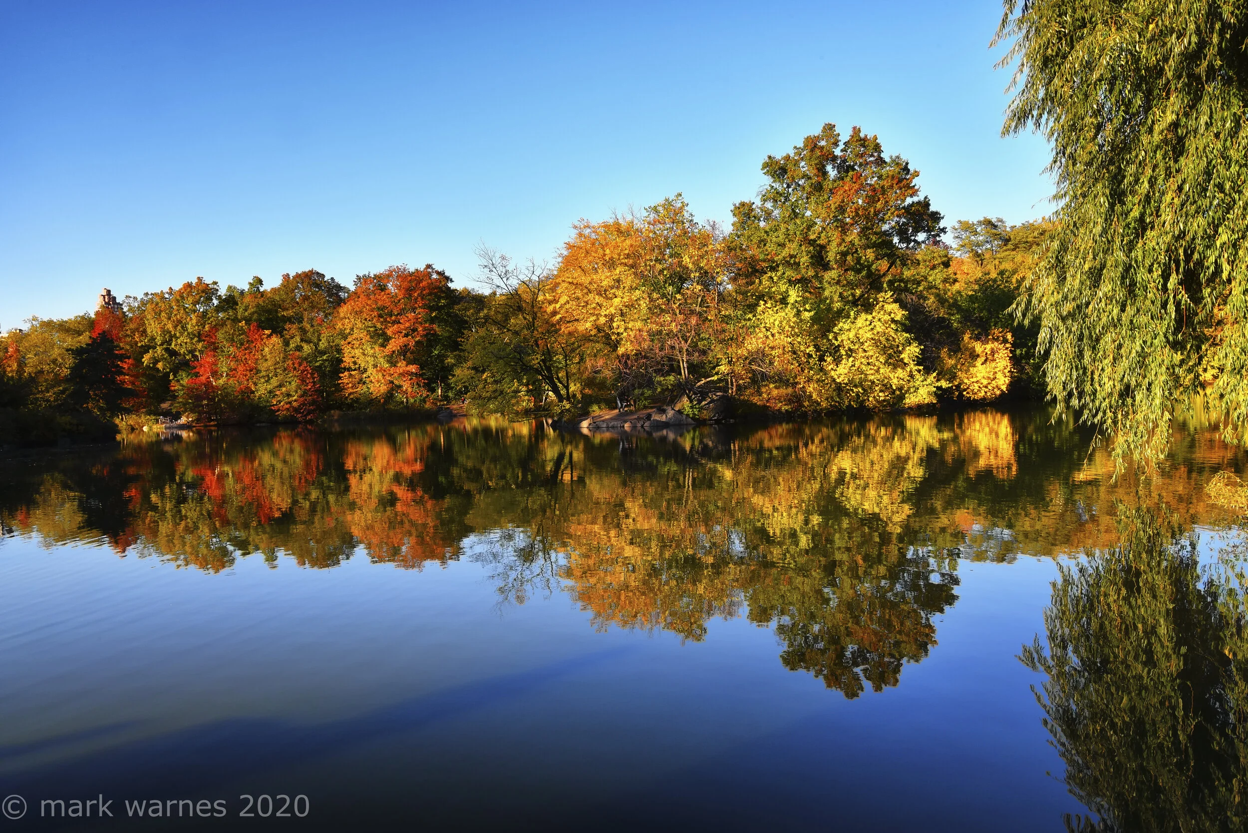 Guide to taking stunning fall reflection photos — Mark Warnes Photography