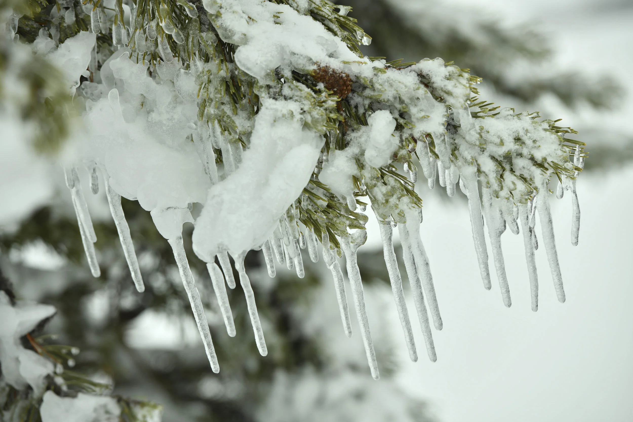 The best winter photography tips — Mark Warnes Photography The best winter photography tips — Mark Warnes Photography