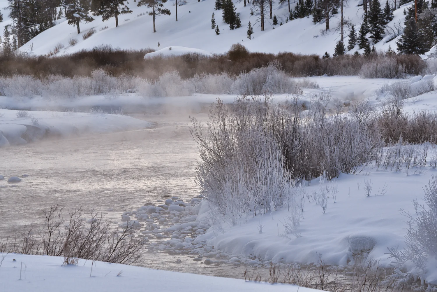 Top 10 Tips For Extreme Cold Photography — Mark Warnes Photography