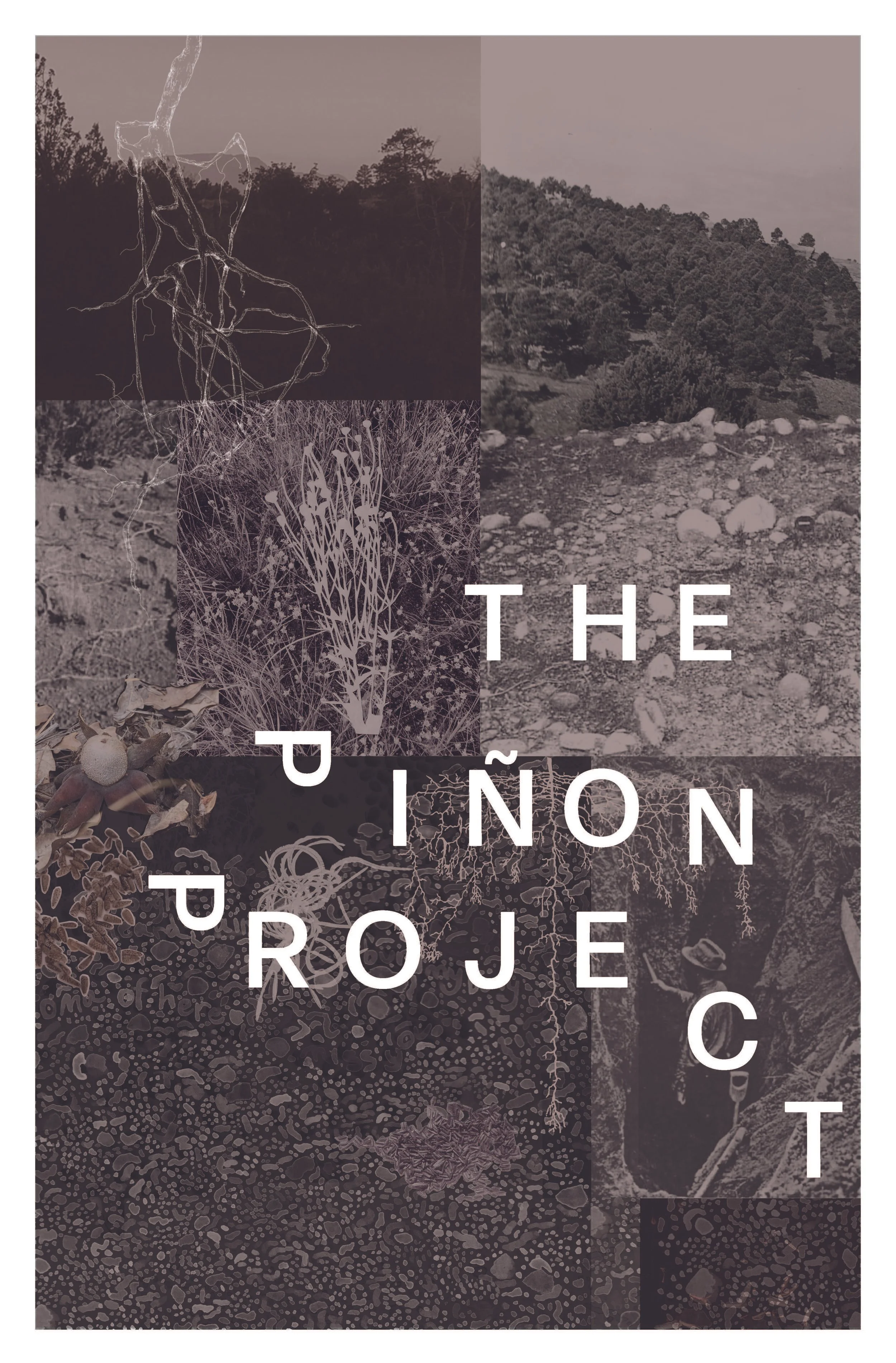 The Submergence Collective