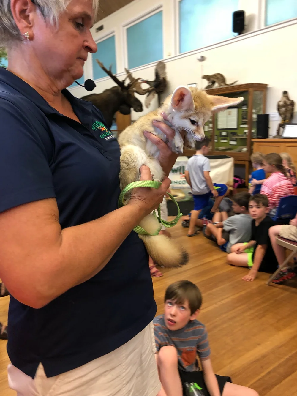 Highlights — The Libby Museum
