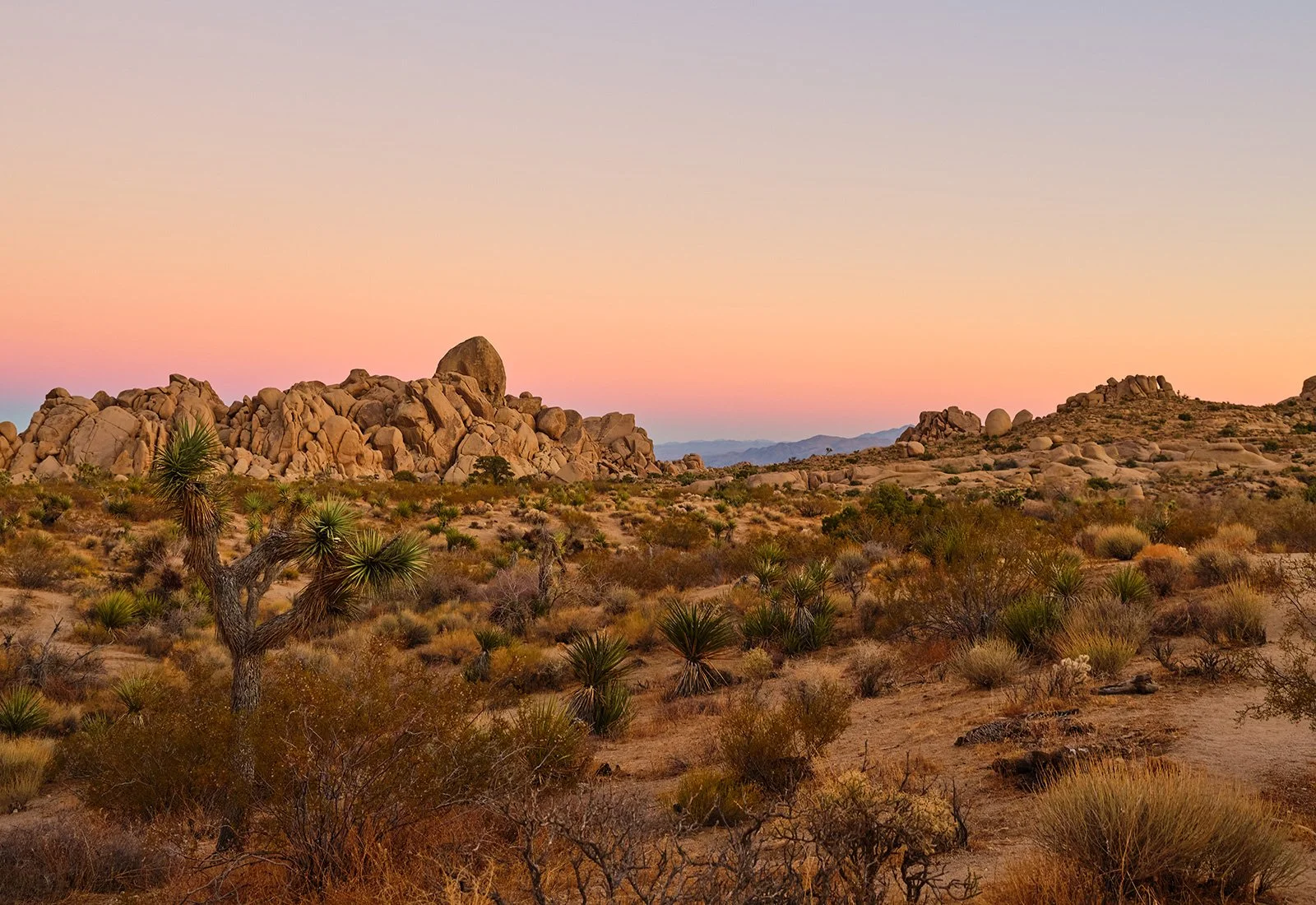 Advertising Photographer Takamasa Ota