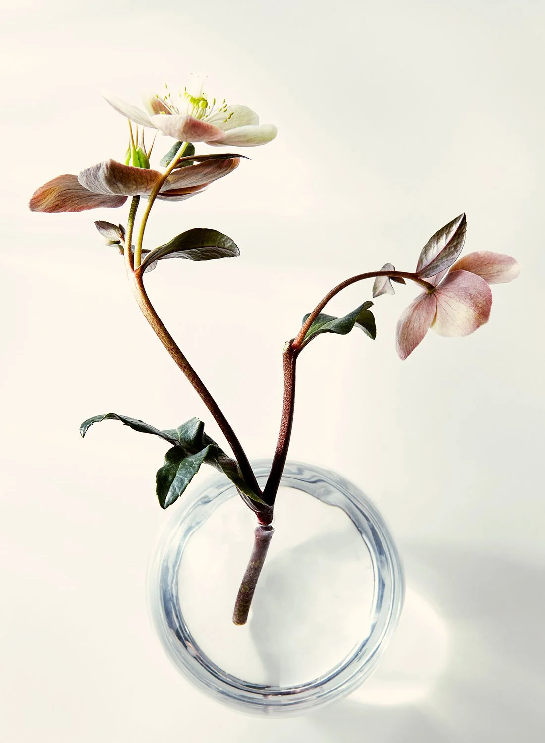 Advertising Photographer Takamasa Ota