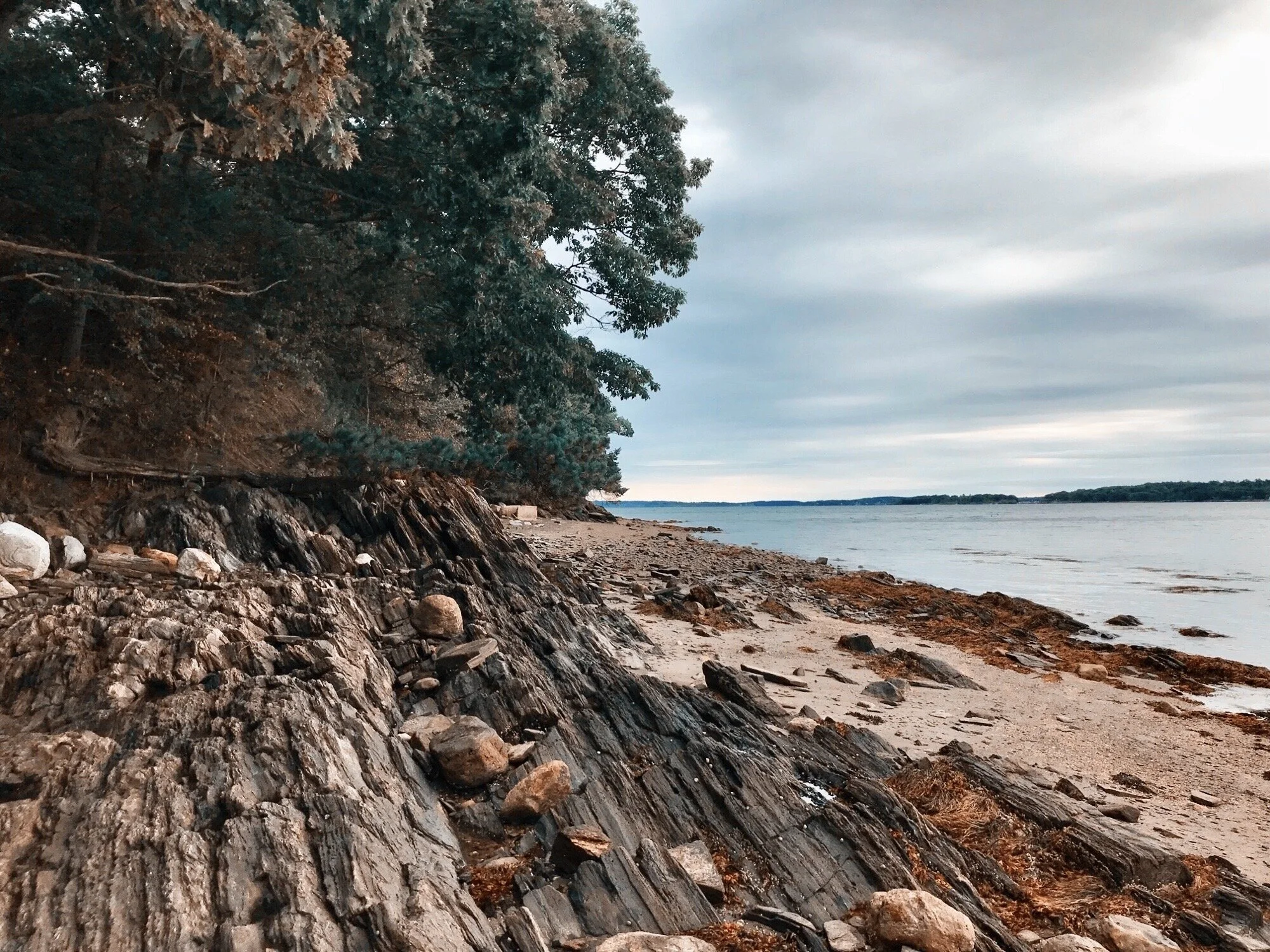 Mackworth Island State Park — My Maine