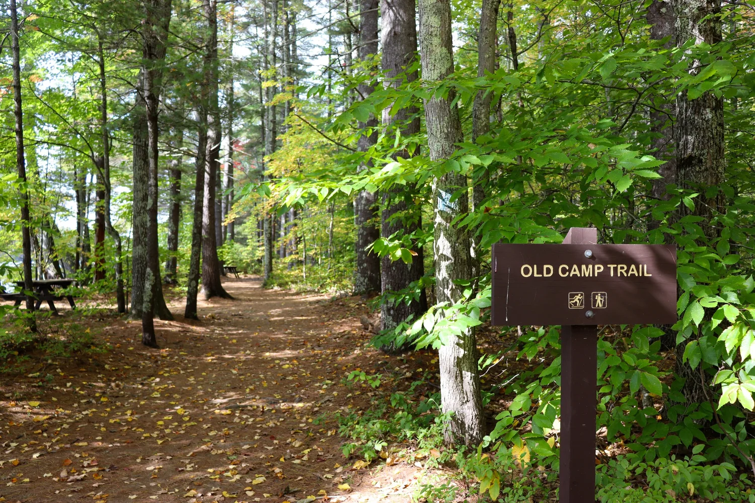 Exploring Range Pond State Park — My Maine