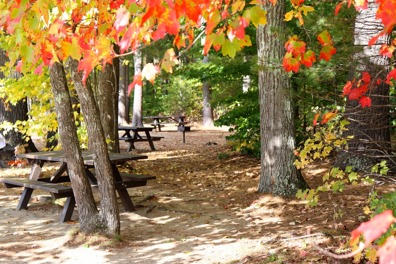 Exploring Range Pond State Park — My Maine