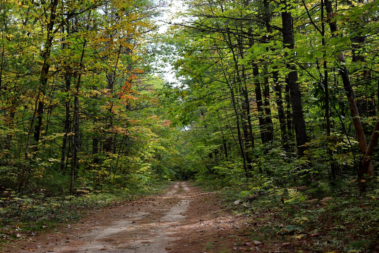 Exploring Range Pond State Park — My Maine