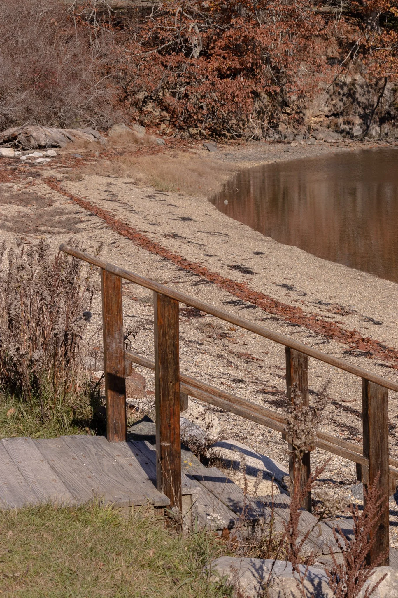 Holbrook Island State Park — My Maine