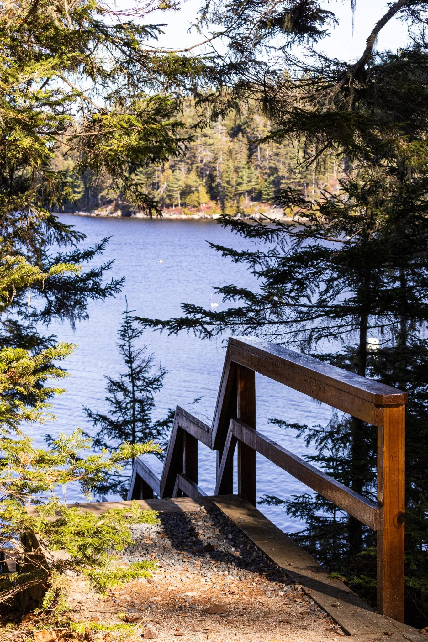 Holbrook Island State Park — My Maine