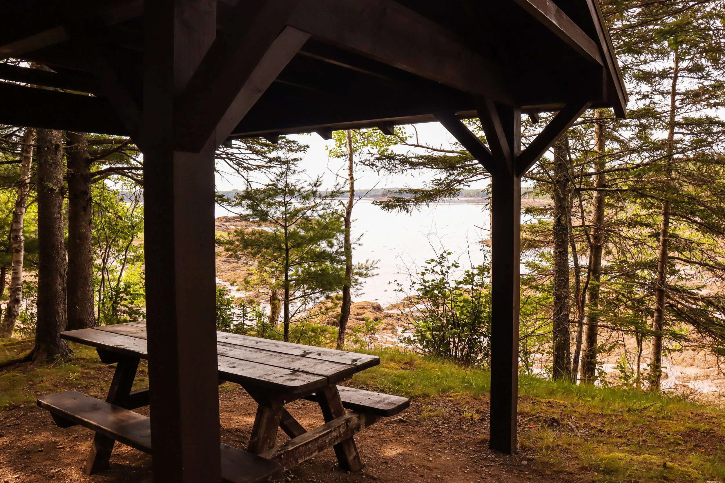 Cobscook Bay State Park — My Maine