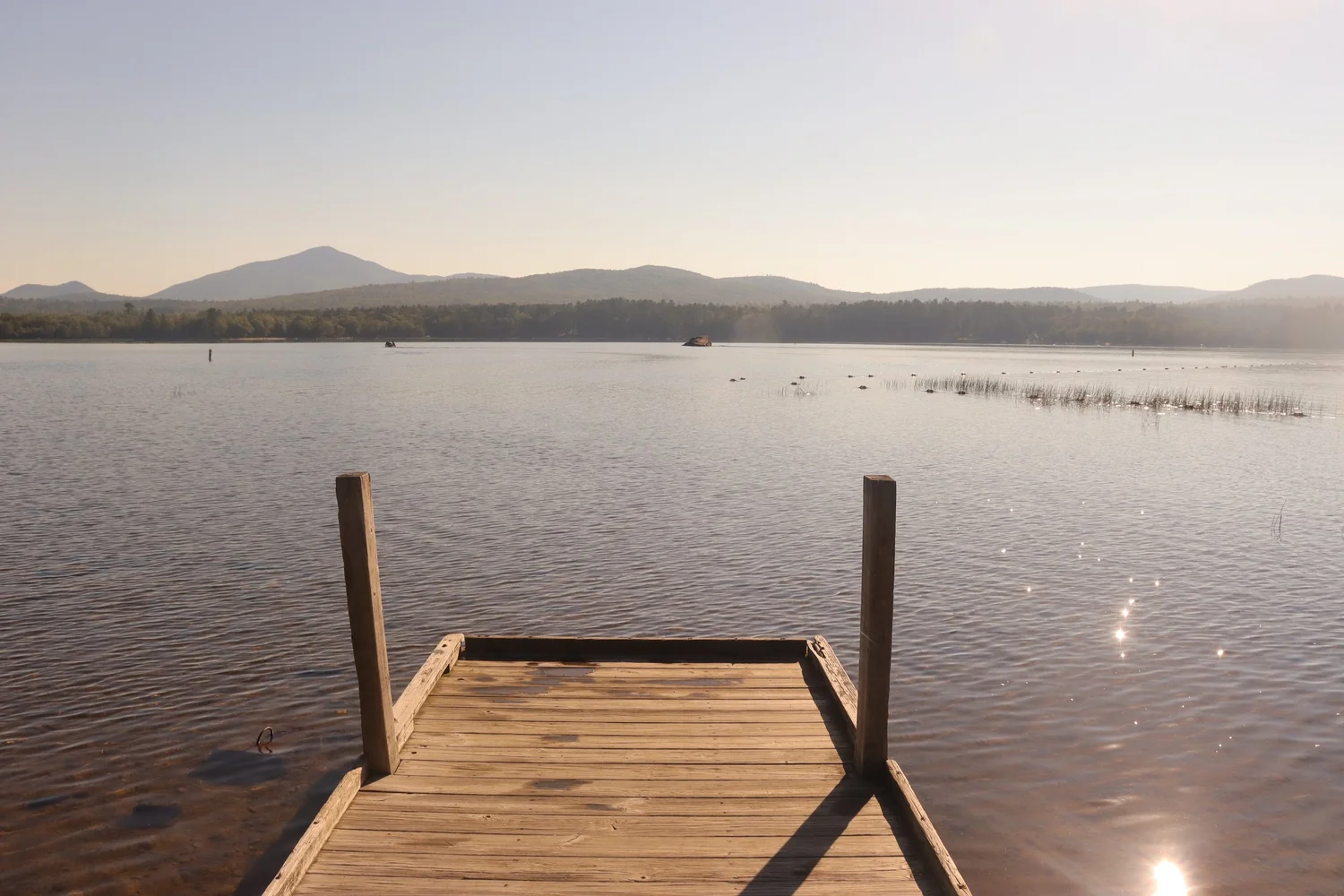 A Guide to Mount Blue State Park: Hiking, Camping, and Paddling in ...