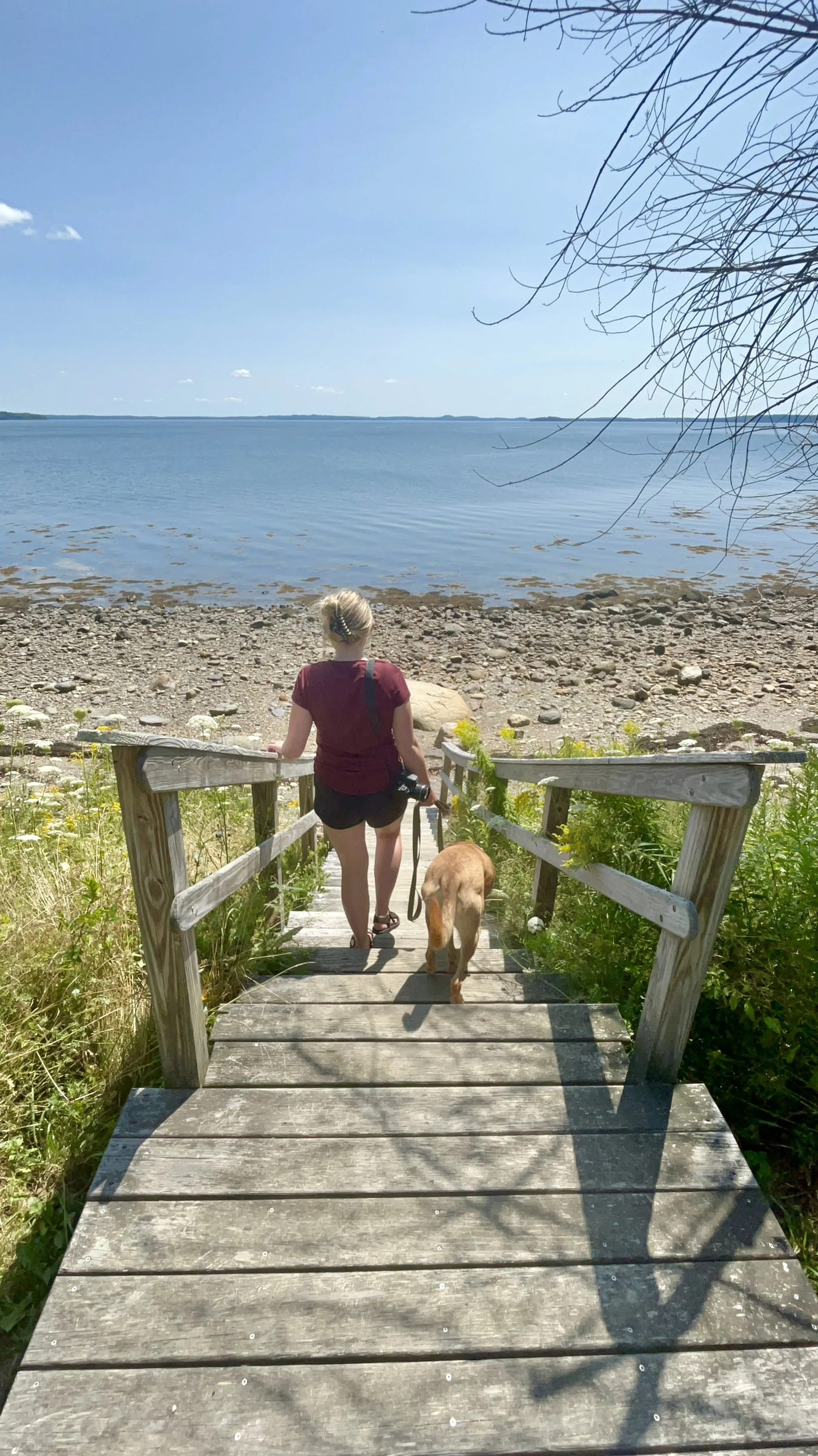 Moose Point State Park — My Maine