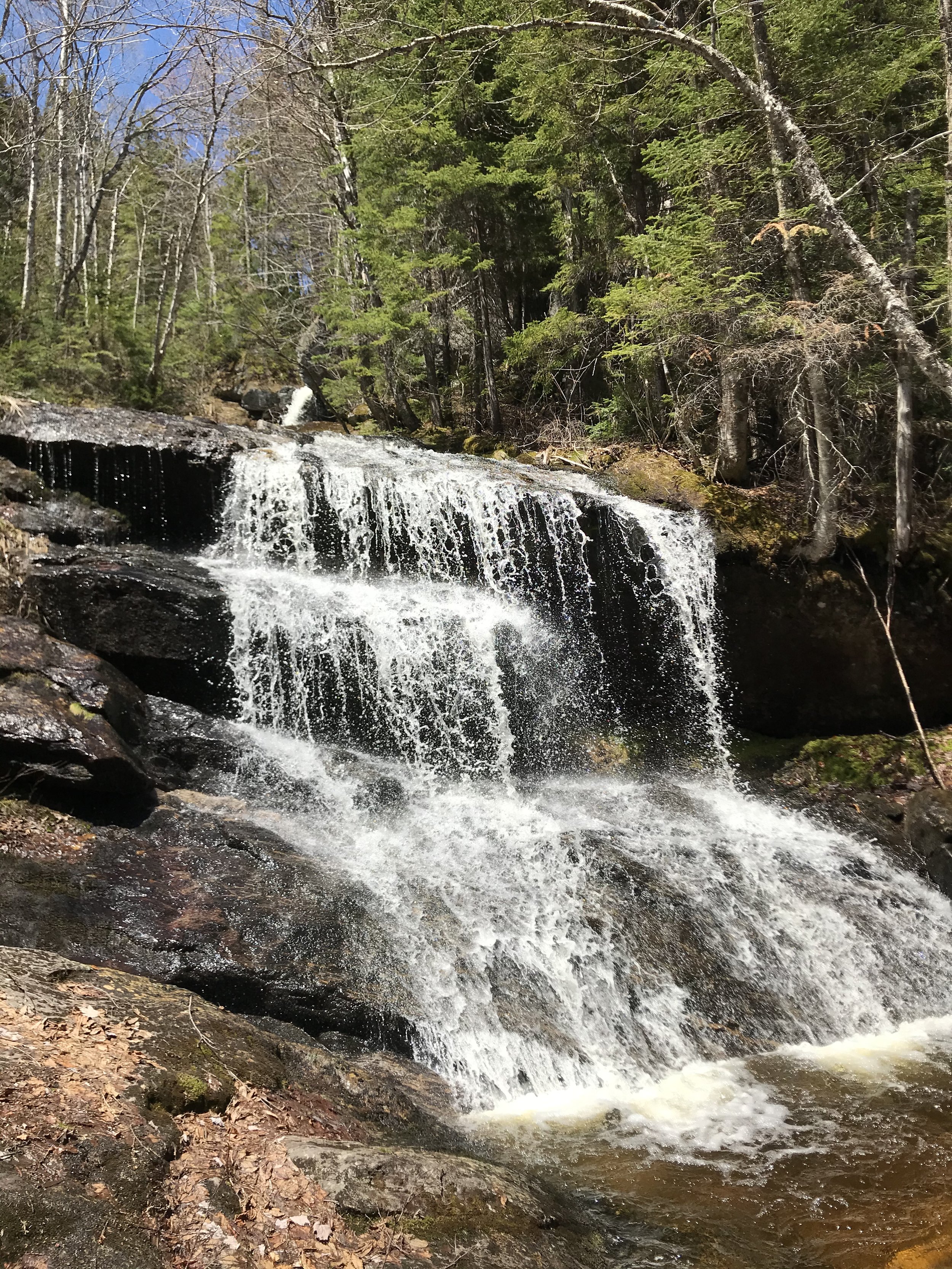Grafton Notch State Park — My Maine